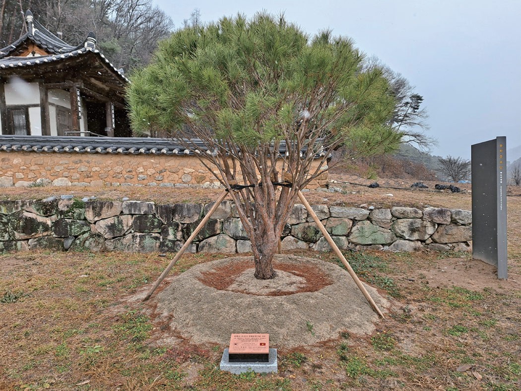 [선비 정신의 미학 (95)] 임진왜란 19세 의병 충효당(忠孝堂) 이장발